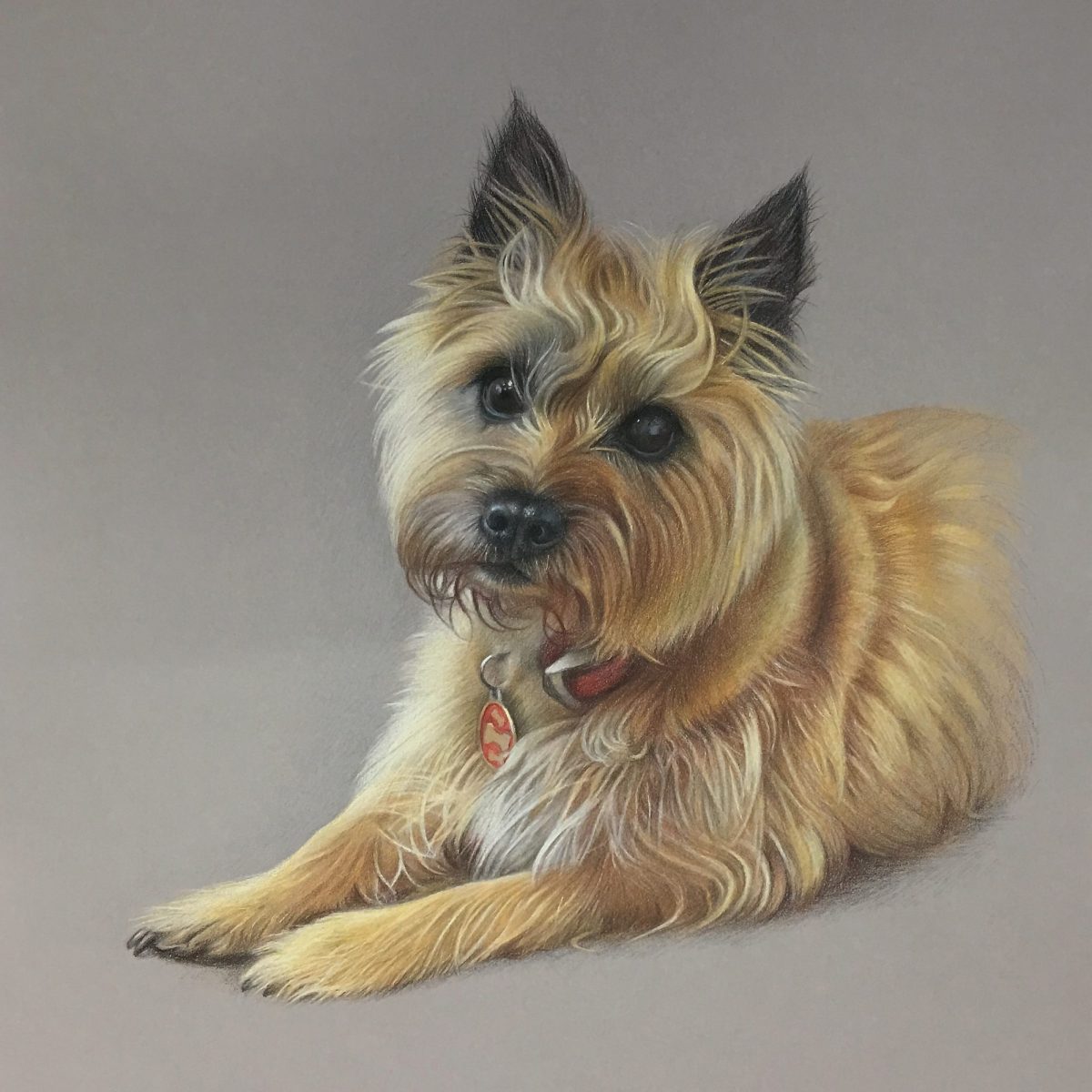 Robin-Lee Hall PPRP - The Royal Society of Portrait Painters